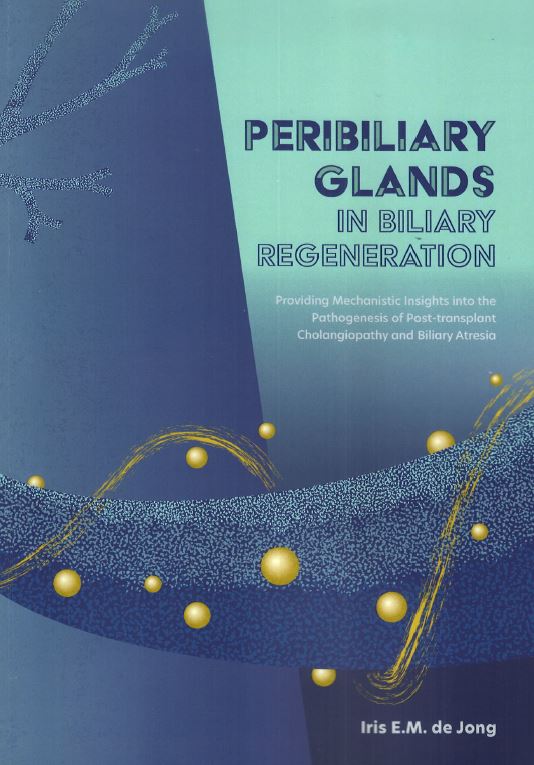 Peribiliary Glands in Biliary Regeneration - Providing Mechanistic ...