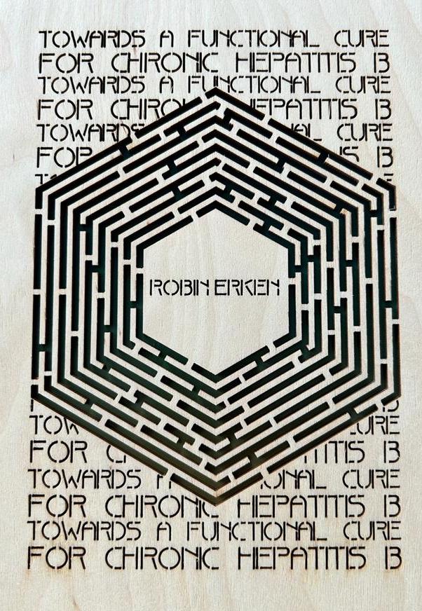 Towards a functional cure for chronic hepatitis B - Nederlandse ...